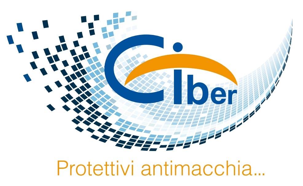 Ciber Srl: info e contatti
